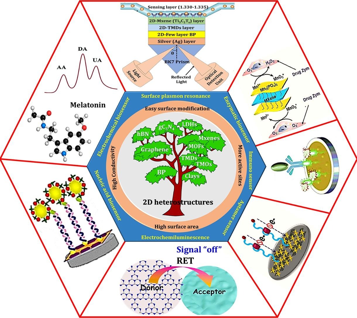 Heterostructures of 2D materials and their applications in biosensing